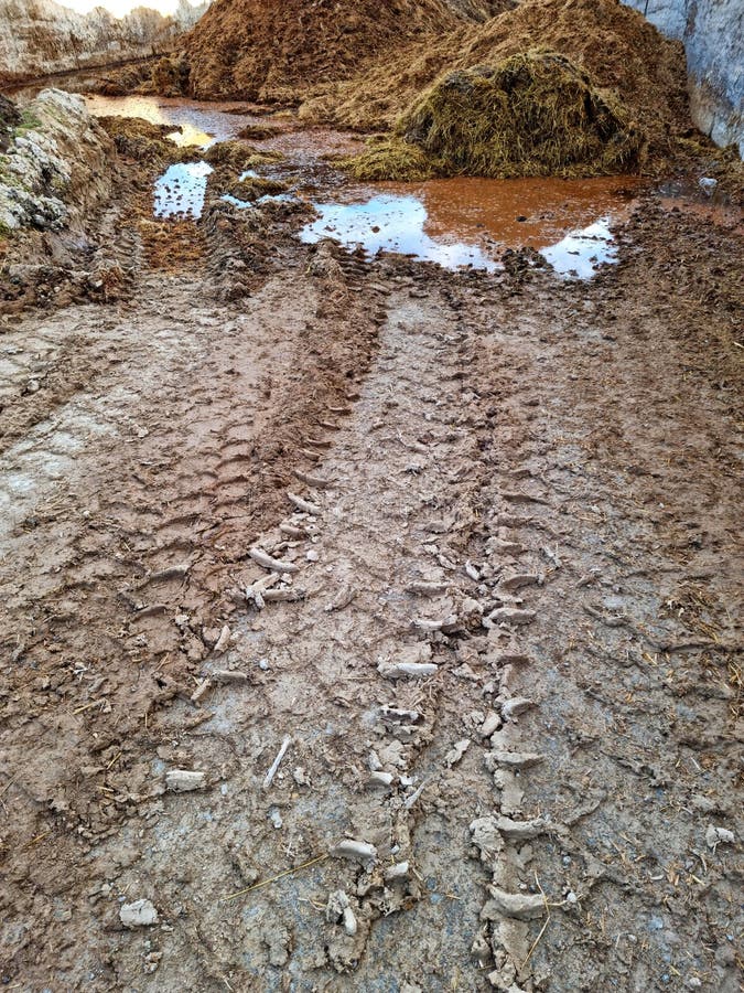 Old concrete dung pit stock photo. Image of fertilization - 272015988