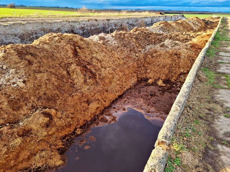 Old concrete dung pit stock image. Image of manure, bull - 272016087