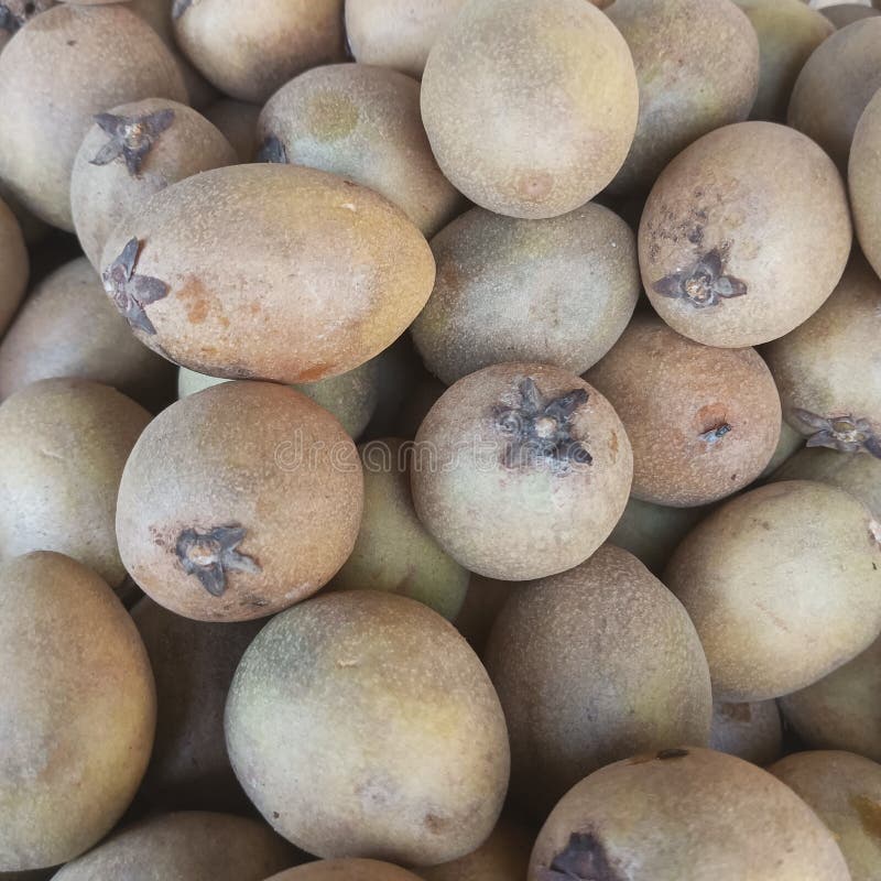 A Pile of Medium Sized Sapodilla Fruit Sold by Traders at the Fruit ...