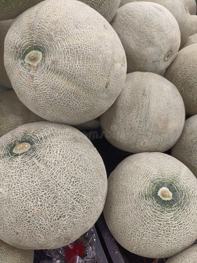 Pile of Melons stock image. Image of food, melon, melons - 265396831