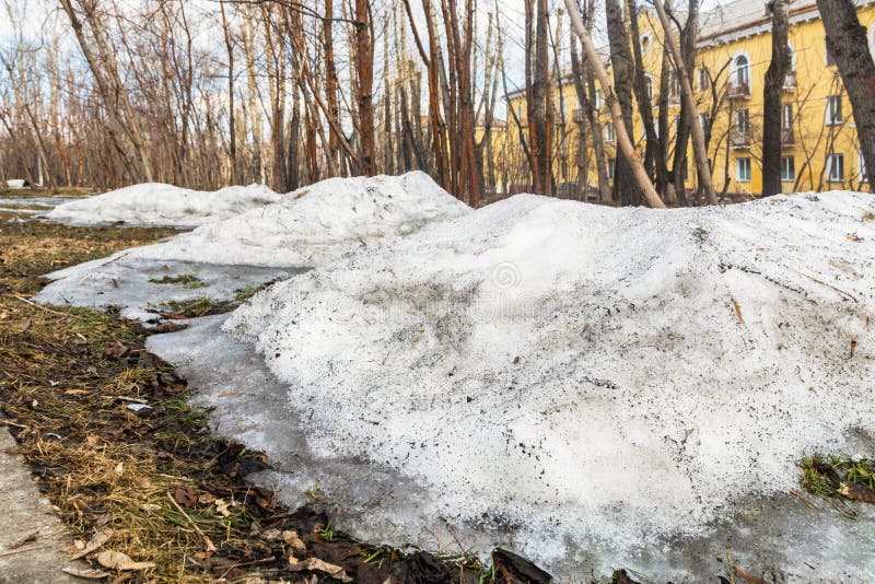 A Pile of Melted Snow and Last Year`s Dried Leaves in the Park in ...