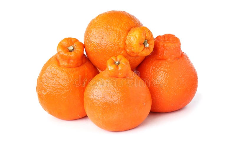 Mineolas Stock Photos - Free & Royalty-Free Stock Photos from Dreamstime