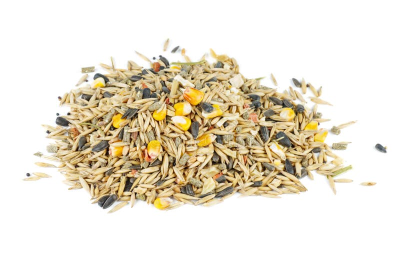 Pile of Mixed (cultivated and Wild) Rice Grains Stock Image - Image of ...