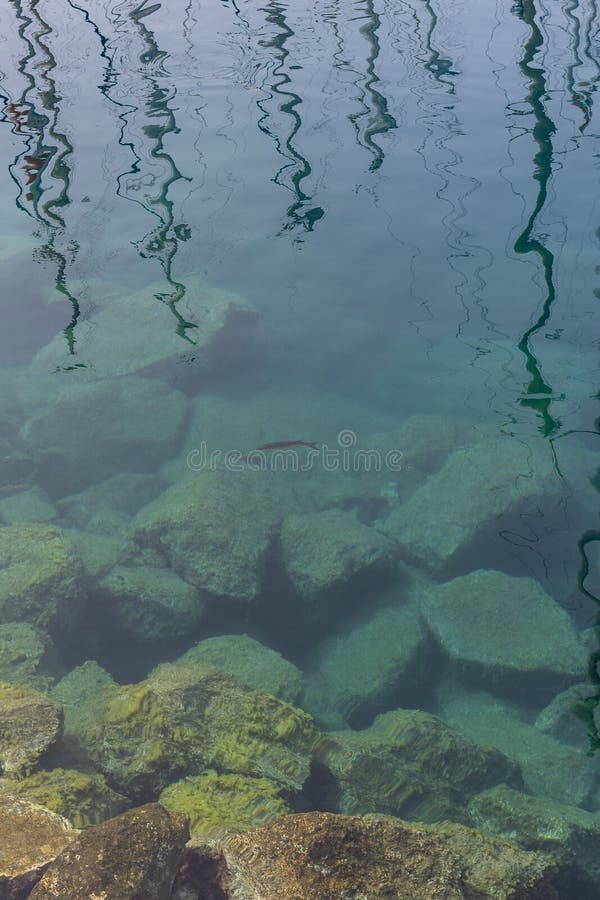 Pile of Mossy Stones Under the Water Stock Photo - Image of mossy ...