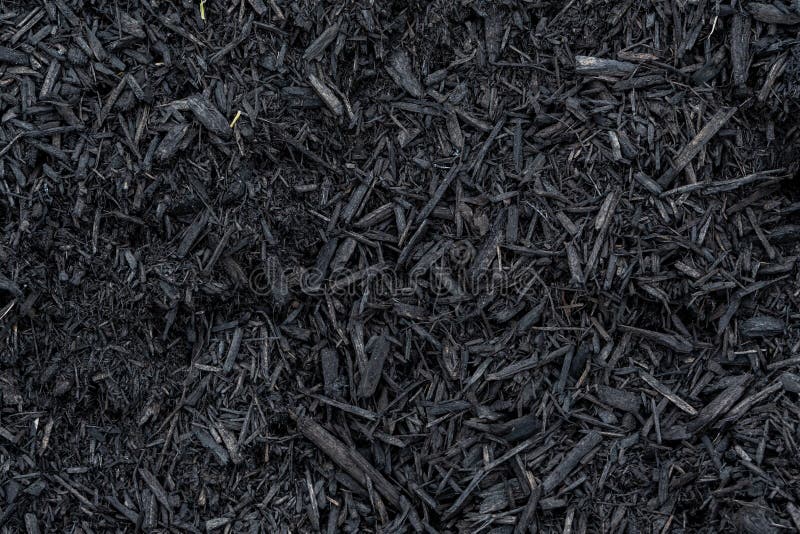 Mulch Texture Background of Fresh Wood Chips Stock Photo - Image of ...