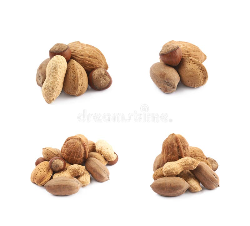 Pile of Multiple Kind of Nuts Isolated Stock Image - Image of brown ...