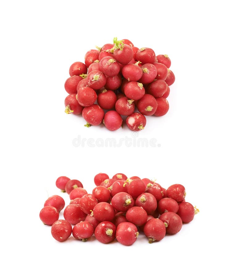 Pile of Multiple Radishes Isolated Stock Photo - Image of radish, pile ...