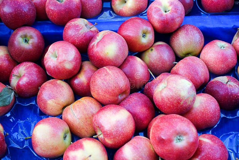 A Pile of Natural Red Apples Stock Image - Image of group, apples ...
