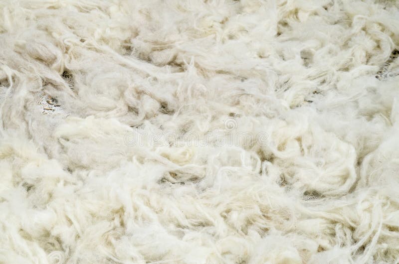 Pile of new wool closeup stock photo. Image of material - 134825684