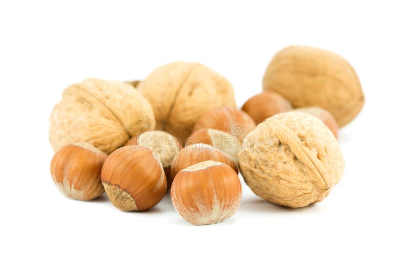Pile of nuts stock image. Image of food, nucleus, sphere - 11975241