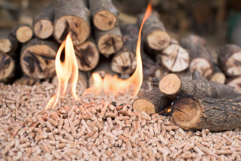 Oak pellets in fire stock photo. Image of ecology, fuel - 122901926