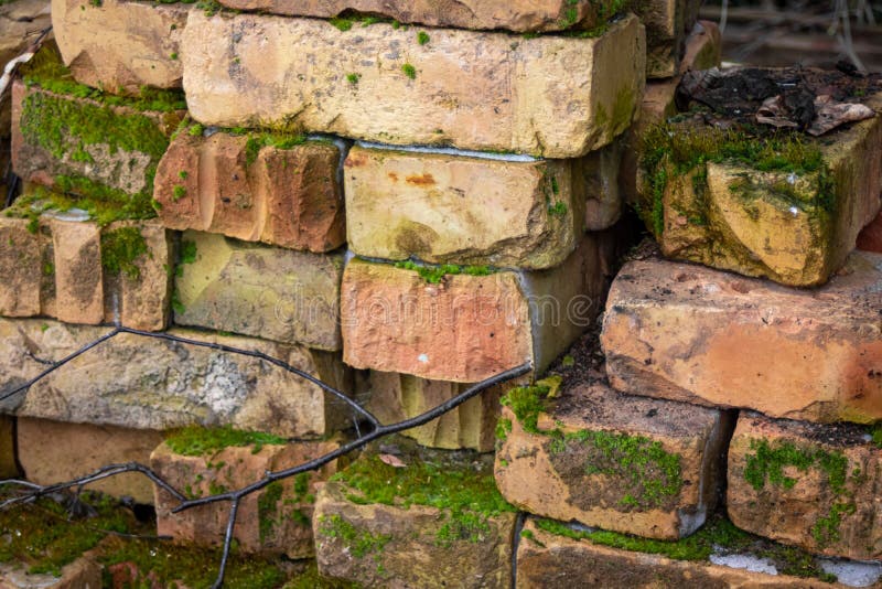 Pile of old bricks stock photo. Image of decay, moss - 245739320