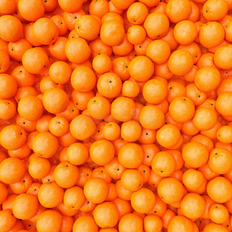 A pile of orange stock illustration. Illustration of nature - 53369223