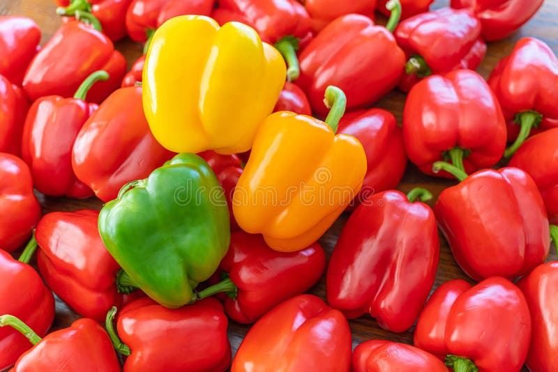 Pile of Organic Fresh Bell Peppers on Display Stock Photo - Image of ...
