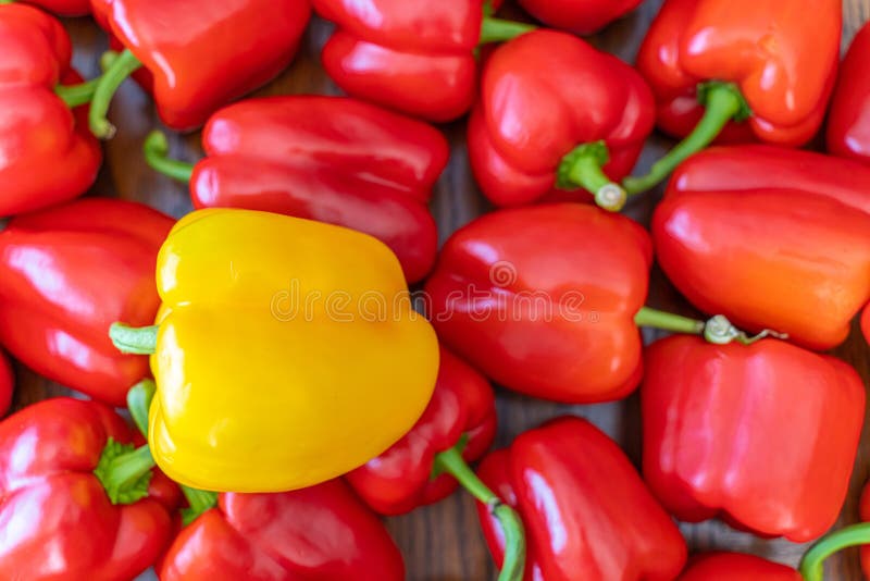 Pile of Organic Fresh Bell Peppers on Display Stock Image - Image of ...