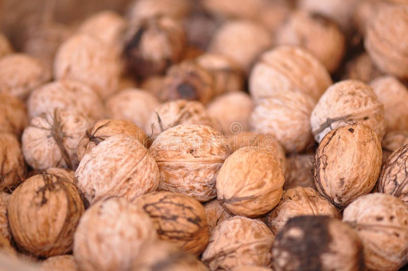 Walnut stock image. Image of bowl, abundance, diet, magnesium - 101729111