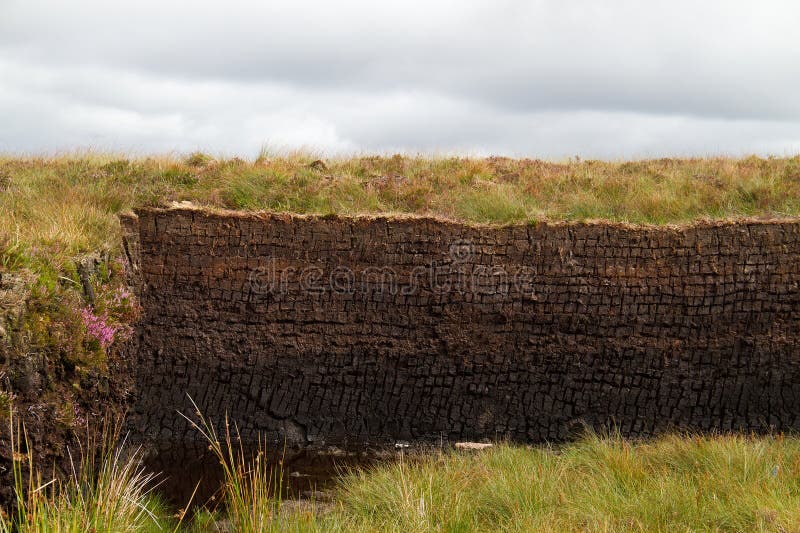 Pile of peat blocks stock image. Image of organic, resource - 290913597