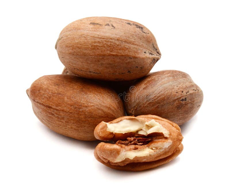 Pecan Nuts Isolated on White Stock Photo - Image of photograph, prints ...