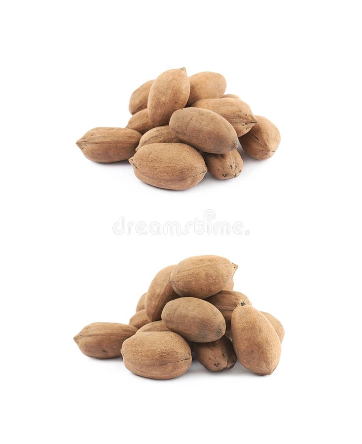 Pile of Pecan Nuts Isolated Stock Image - Image of protein, pecan: 93094001