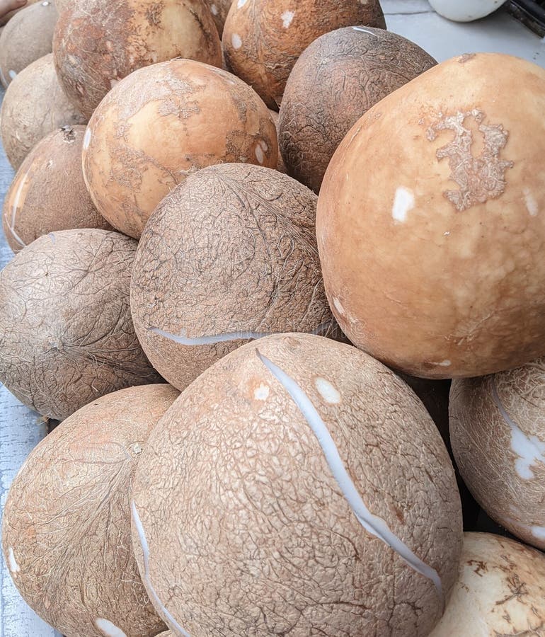 Pile of Peeled Old Coconuts Ready To Be Grated To Make Coconut Milk ...