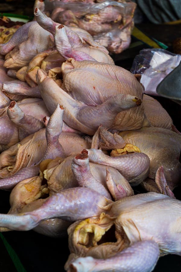 Pieces of raw chicken meat stock photo. Image of nutrition - 48578334