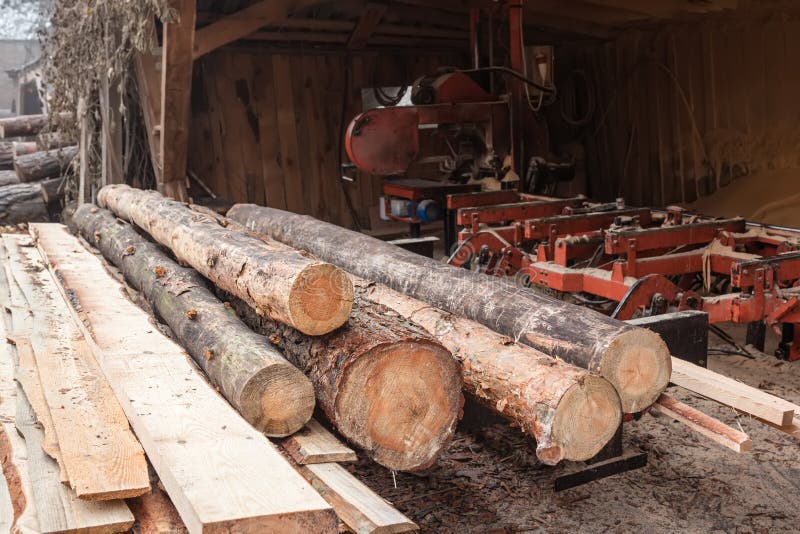 Wood Processing at a Sawmill. Preparation of Logs for Production Stock ...
