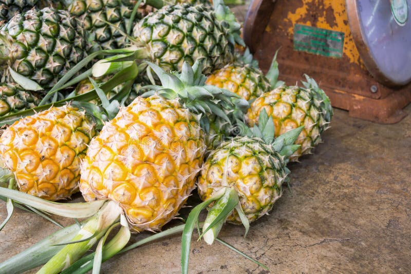 Pile of pineapples stock photo. Image of food, sell, vitamin - 87850836