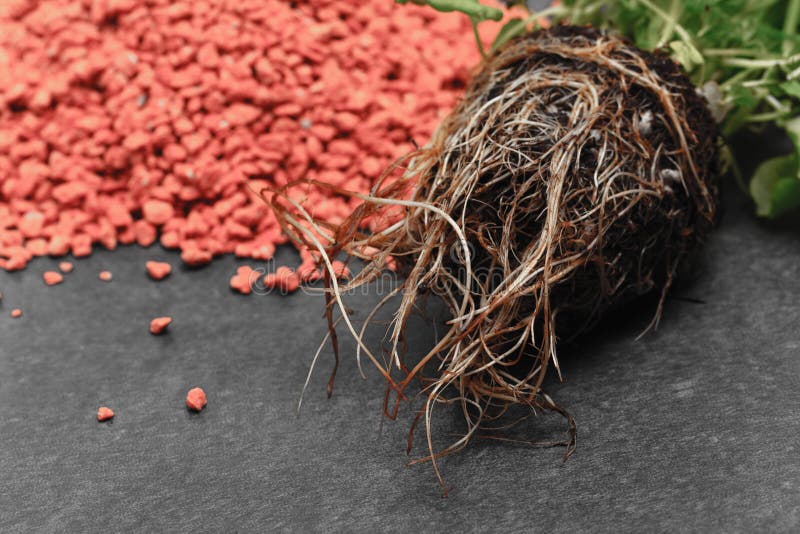 Pile of Pink Fertilizer for Plants Stock Photo - Image of nitrogen ...