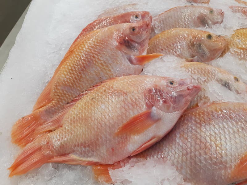 A Pile of Pink Fresh Fish on Ice at the Supermarket. Stock Photo ...