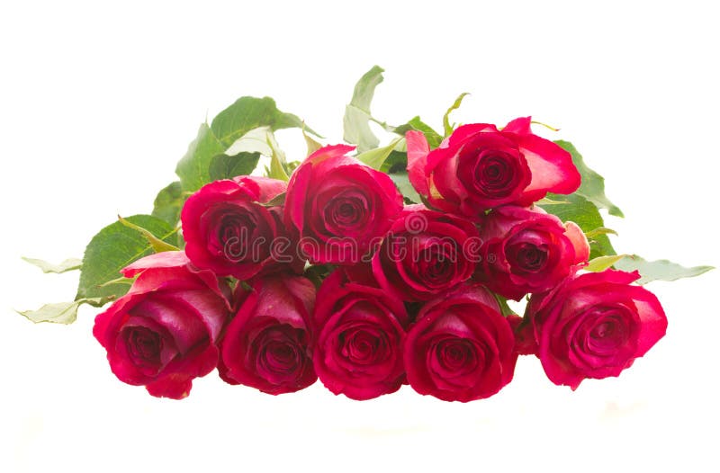 Pile of pink roses stock image. Image of basket, paper - 65165161