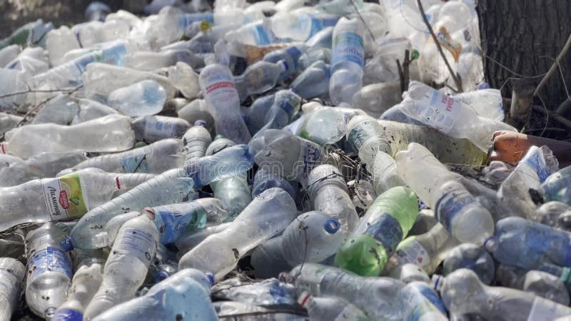 Pile of Plastic Bottles on the Ground, Pollution in a Circled Waste ...