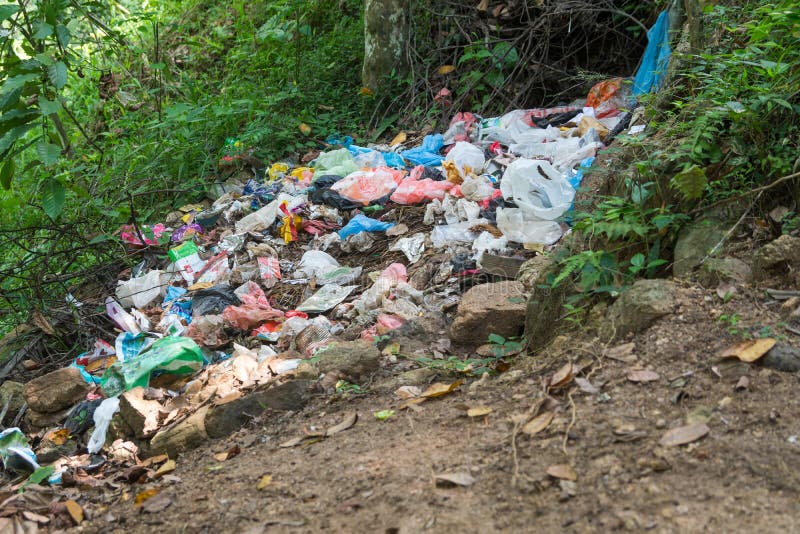 Plastic garbage in garden stock photo. Image of dirty - 244472892