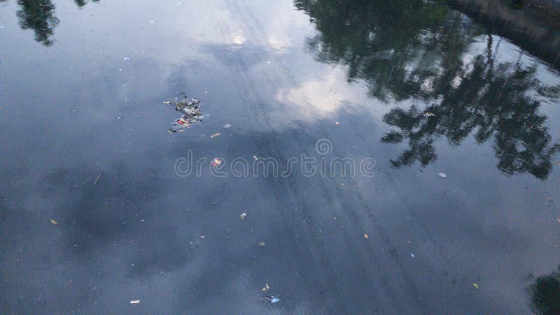 A Pile of Plastic Waste Stuck in River Stream Reflecting Shadow of Tree ...