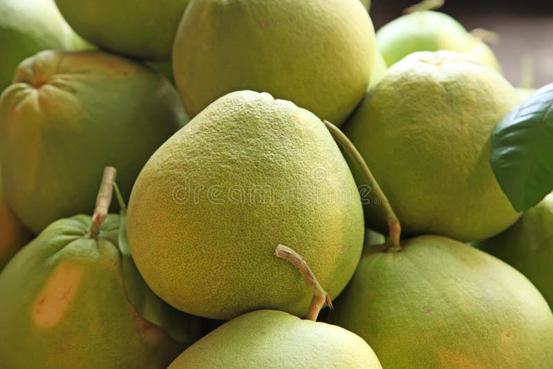Big Pomelo Fruits At The Pomelo Tree, Grapefruit Stock Image - Image of ...