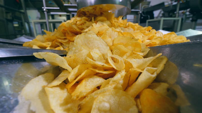 A Pile of Potato Crisps is Formed after Their Release by the Machine ...