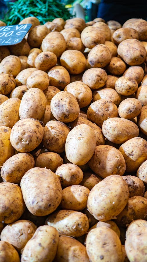 Pile of potatoes stock photo. Image of dinner, edible - 47622888