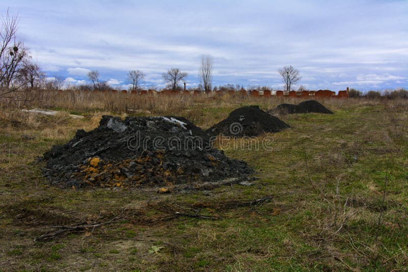 Pile of Pulp in the Field. Waste from the Processing Stock Image ...