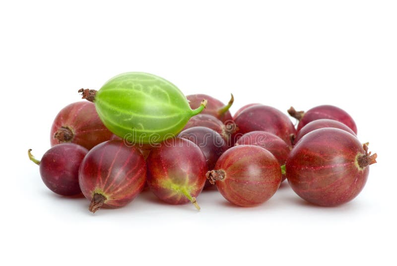 stock image. Image of tasty, ripe, gooseberry, fruit - 10036851