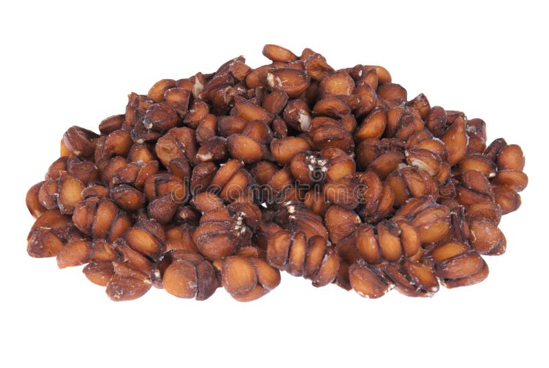 A pile of quince seeds stock photo. Image of isolated - 80228910