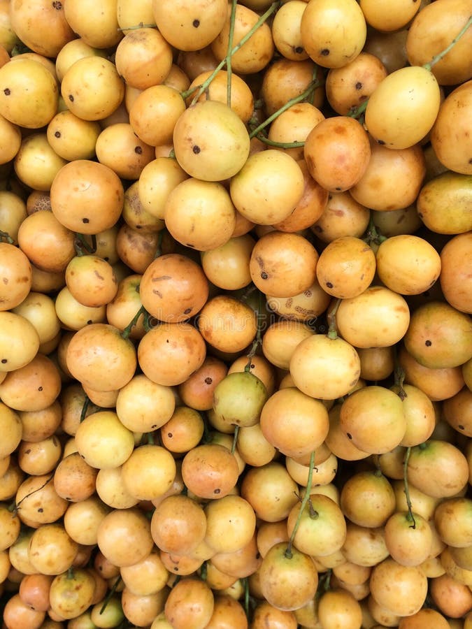 Pile of Rambai in Fruit Market Stock Photo - Image of tropical, sour ...