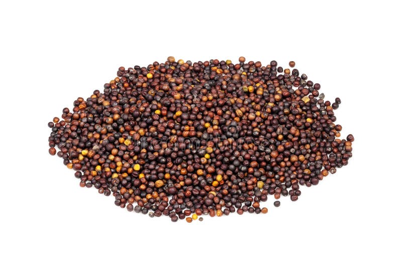 Pile of Rapeseeds Closeup on White Stock Image - Image of plate, heap ...