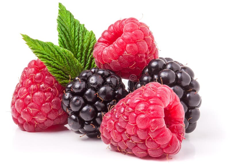 Pile of Raspberries and Blackberries with Leaves Isolated on White ...