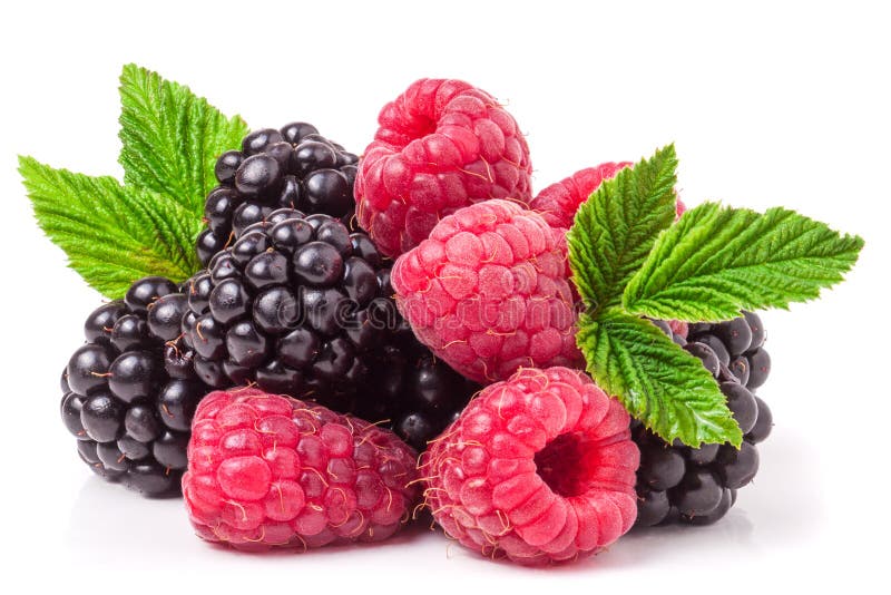 Pile of Raspberries and Blackberries with Leaves Isolated on White ...