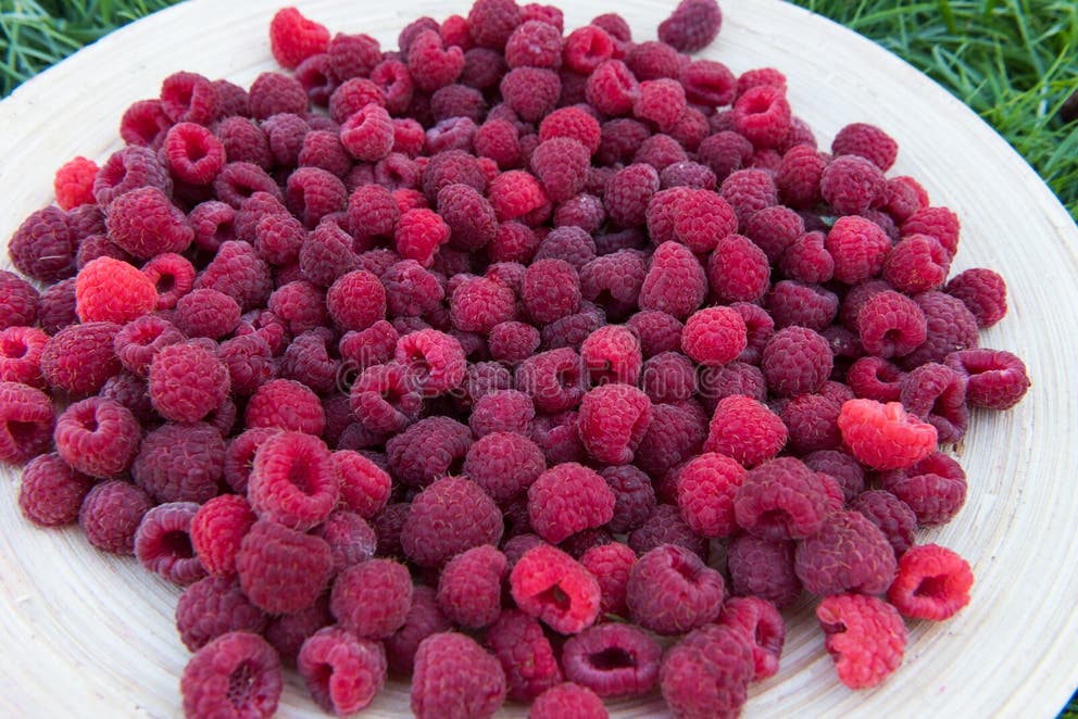 Pile of Raspberries in a Bowl Stock Image - Image of hurtleberry ...