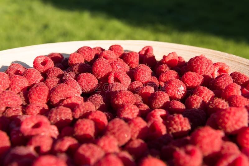 Pile of Raspberries in a Bowl Stock Photo - Image of drink, food: 77257988