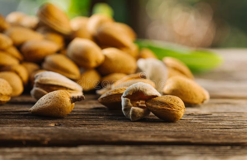 Pile of Raw Almonds, Freshly Picked from the Tree. Stock Photo - Image ...