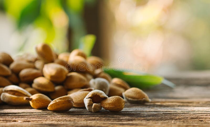 Pile of Raw Almonds, Freshly Picked from the Tree. Stock Photo - Image ...