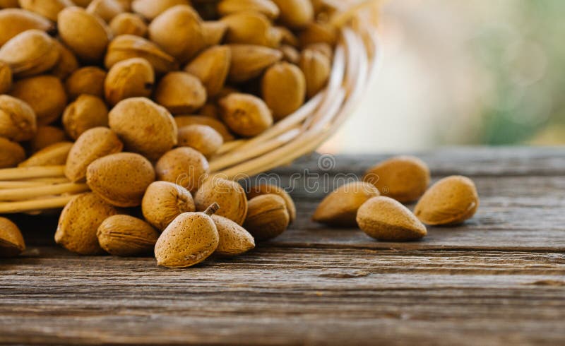 Pile of Raw Almonds, Freshly Picked from the Tree. Stock Image - Image ...