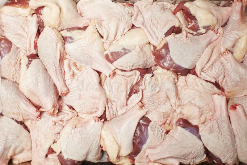 Pile of raw chicken stock photo. Image of meat, animal - 40626970