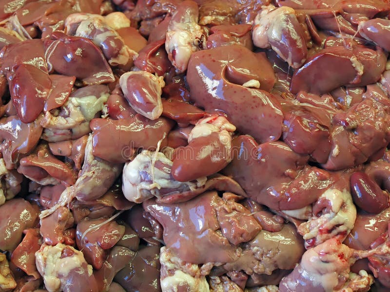 Fat Bull Market Stock Photos - Free & Royalty-Free Stock Photos from ...